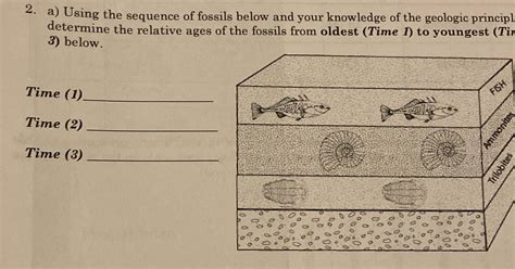 [solved] 2 a using the sequence of fossils below and your knowledge