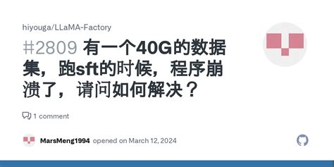 有一个40g的数据集，跑sft的时候，程序崩溃了，请问如何解决？ · Issue 2809 · Hiyougallama Factory