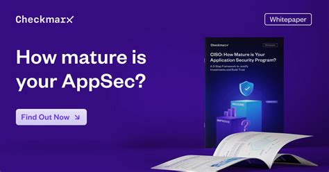 Ciso Guide Assess The Maturity Of Your Application Security Program