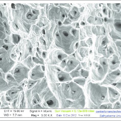 Sem Micrograph Of Fracture Surface Sem Scanning Electron Microscopy Download Scientific Diagram