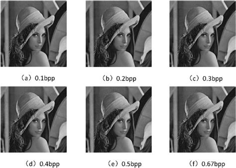 research on reversible image steganography of encrypted image based on image interpolation and