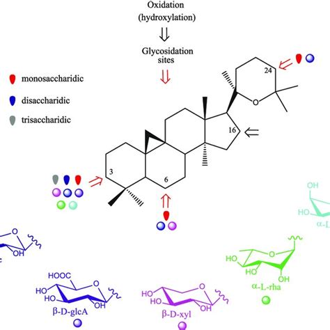 General Structure Of Acyclic Side Chain Compounds Download Scientific