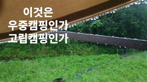 부부의 텃밭 6 텃밭에서 맞이하는 우중캠핑이라고 좋아했는데 마지막은 고립캠핑이 되어버린 은퇴를 준비하는 50대 부부 이야기 Youtube