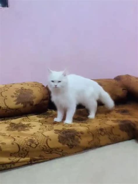 Imtaz M Posted On Linkedin