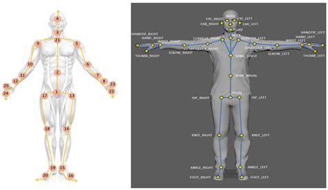 Stja Gcn A Multi Branch Spatialtemporal Joint Attention Graph