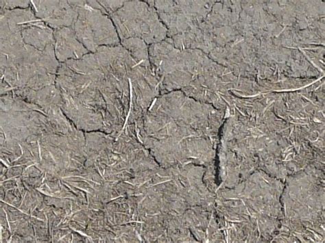 Grey Ground Texture Texturelib