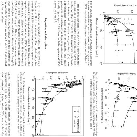 Pinctada Margaritifera And P Maxima Relationships Between Ingestion Download Scientific