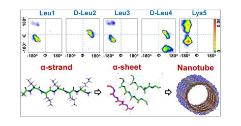 Peptide Self Assemblies From Unusual α Sheet Conformations Based On Alternation Of Dl Amino