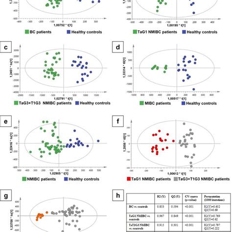 Validation Of P Cresol Glucuronide In Bc Patients And Controls A Urine Download Scientific