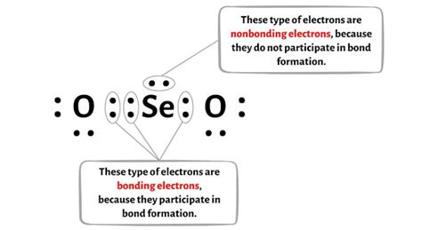 Seo2 Lewis Structure In 6 Steps With Images