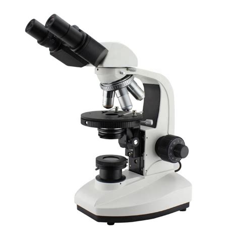 Series Polarizing Microscope With Halogen Lamp Conduct Science