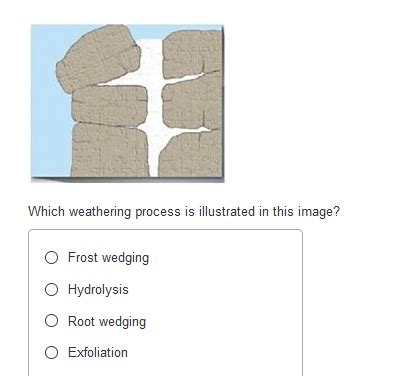 Solved 2 Which Weathering Process Is Illustrated In This Chegg