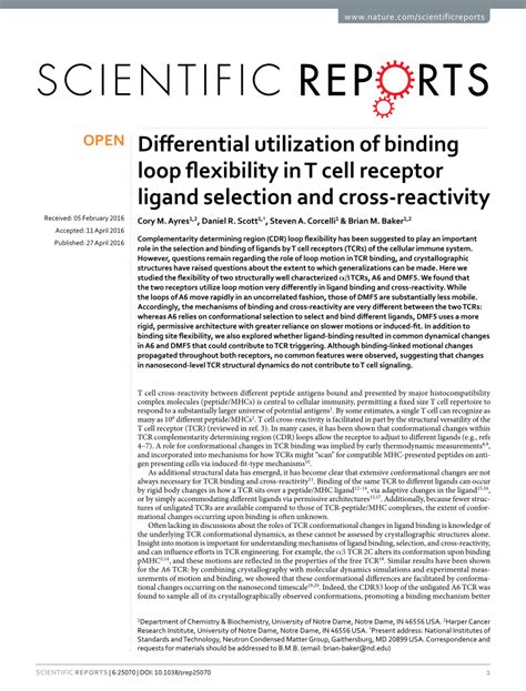 Pdf Differential Utilization Of Binding Loop Flexibility In T Cell