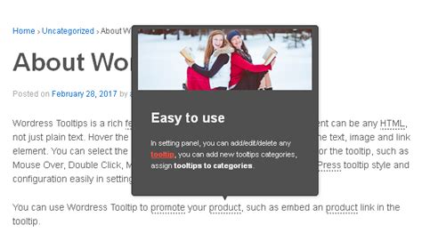 Wordpress Amazing Tooltip Plugin Plugins Party