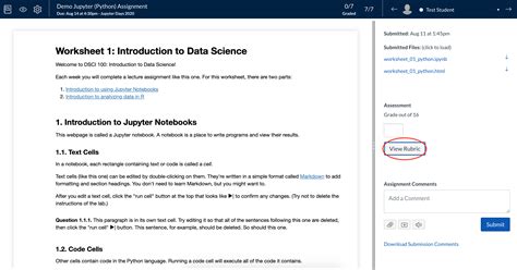 Intro To Using Canvas Speedgrader With Jupyter — Ubc Jupyterdays 2020