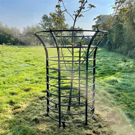 Durable Tree Guard Manufacturer For Urban And Govt Projects