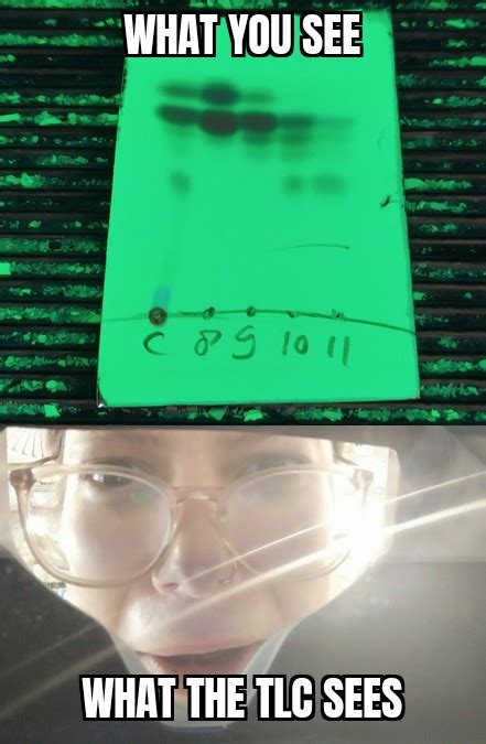 Another Labview R Labrats