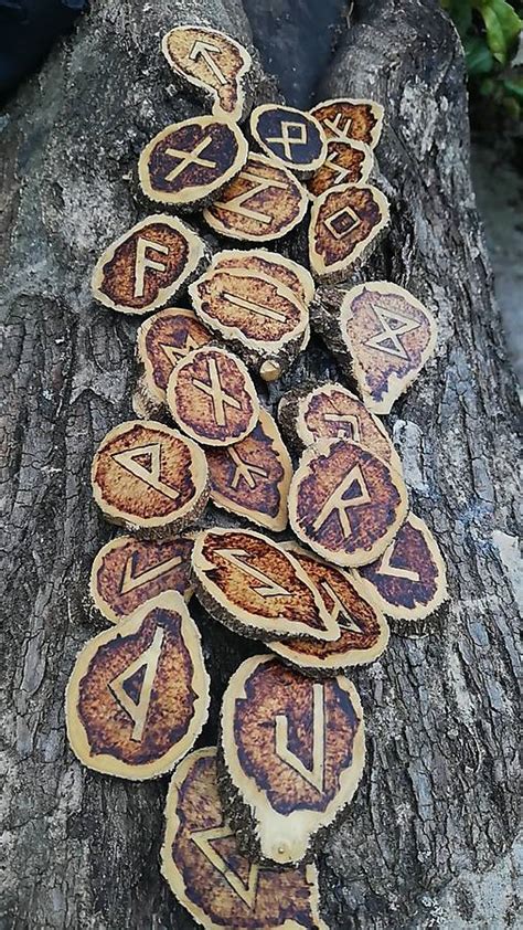 Runy Peterhuberttarch Sashesk