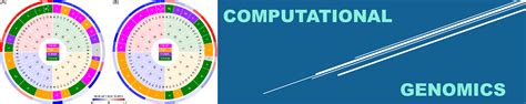 computational genomics kiz fall 2024 qiulab