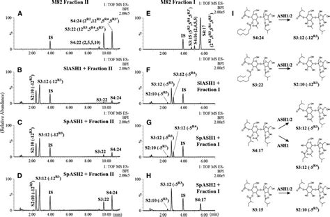 Acylsugar Acylhydrolases Carboxylesterase Catalyzed Hydrolysis Of