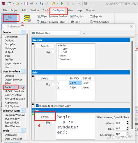Plsql 英文版设置字体大小 知乎