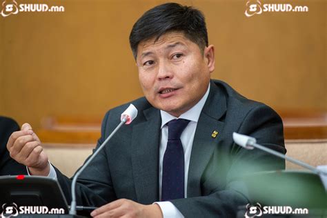 Х Нямбаатар Гадны хөрөнгө оруулагчдыг тонон дээрэмдсэн бүлэглэлүүдийн хэргийг зарлана