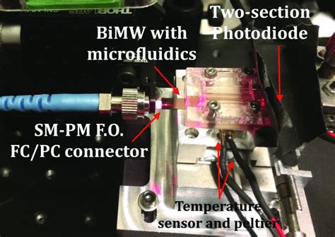 1 End Fire Coupled Setup With Pd Detection Download Scientific Diagram