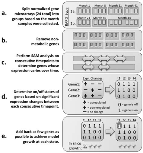 Schematic Of Microarray Analysis Method The Figure Shows How The