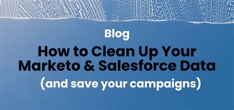 How To Clean Up Your Marketo And Salesforce Data And Save Your Campaigns Cloudingo