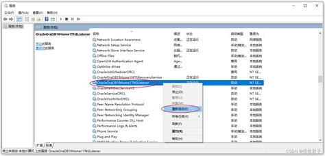 Oracle19c安装和远程访问设置oracle设置远程用户访问权限 Csdn博客 Oracle19c安装和远程访问设置oracle设置远程用户访问权限 Csdn博客