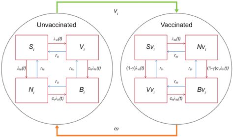 Dynamic Transmission Model Flowchart Representing The Dynamic