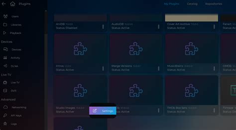 Does Not Work At All · Issue 6 · Entree3kjellyfin · Github