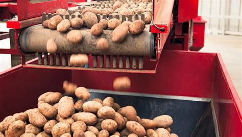 10 Steps To Master Yield Management In Food Production