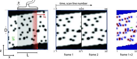 schematic representation of the ultrasound imaging velocimetry method