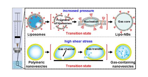 From Nanovesicles To Nanobubbles Based On Repeated Compression Method Langmuir