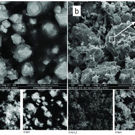Sem And Edx Analysis Of As Mixed A And Milled B W 13 C Powder