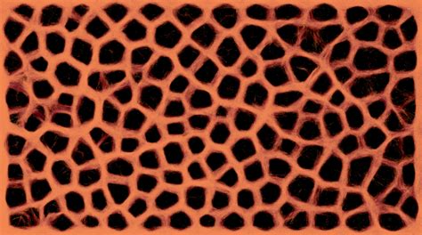 Slime Mold Shader Visualiser By Hatinc