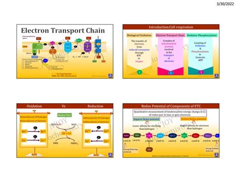 Etc Biochemistry Dr Trupti Ramtekepdf