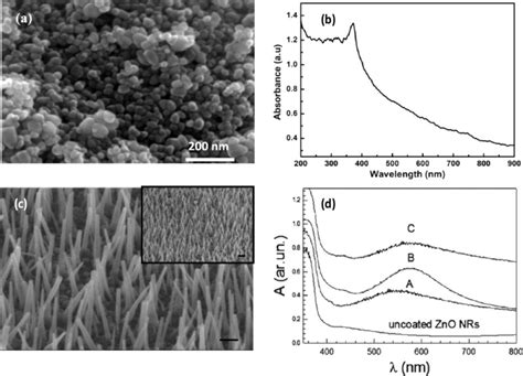 Zinc Oxide Nanostructures For Fluorescence And Raman Signal Enhancement A Review Pmc