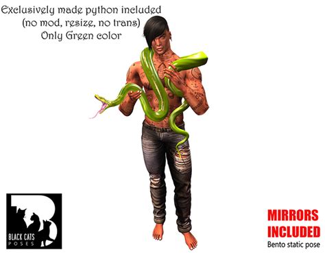 Second Life Marketplace Black Cats Poses Python Male 3 Mirror