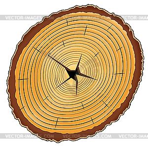 Wooden Cross Section Vector Image