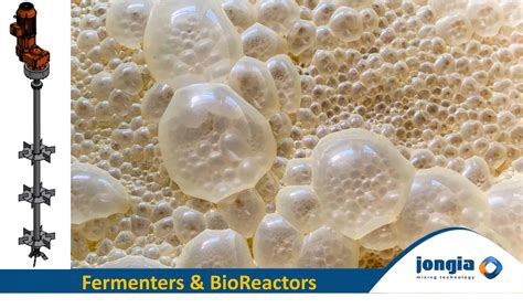 Fermentation And Bioreactor Mixing Process Jongia Mixing Technology