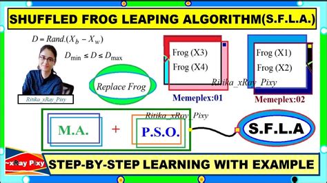 Learn Shuffled Frog Leaping Algorithm Sfla Step By Step With Example ~xray Pixy Youtube