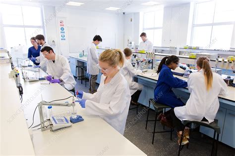 Chemistry Students Using Digital Ph Meters Stock Image C0369004