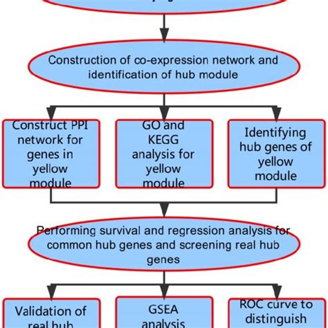 Flow Diagram Of The Analysis Procedure Data Collection Preprocessing Download Scientific
