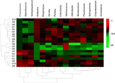 hierarchical clustering analysis of 20 samples based on the relative