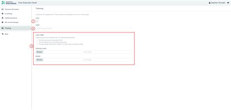 Flow Execution Panel Overview