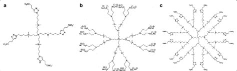 Molecular Representation Of Dendrimers A G1 S4 With 4 Sulfate End