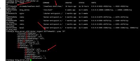 Chromedp如何在centos7上使用missing X Server Or Display Csdn博客