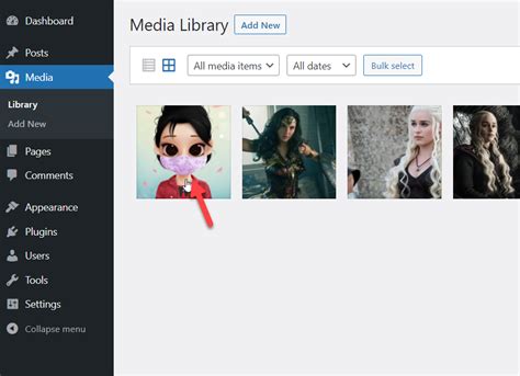 How To Automatically Add ALT Tags To Images QuadLayers